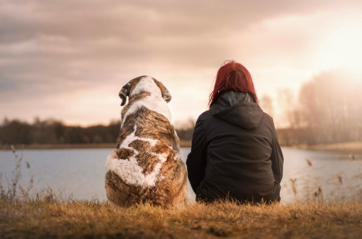 How Online Therapy Is Expanding Access to Mental Health Support - Pure ...