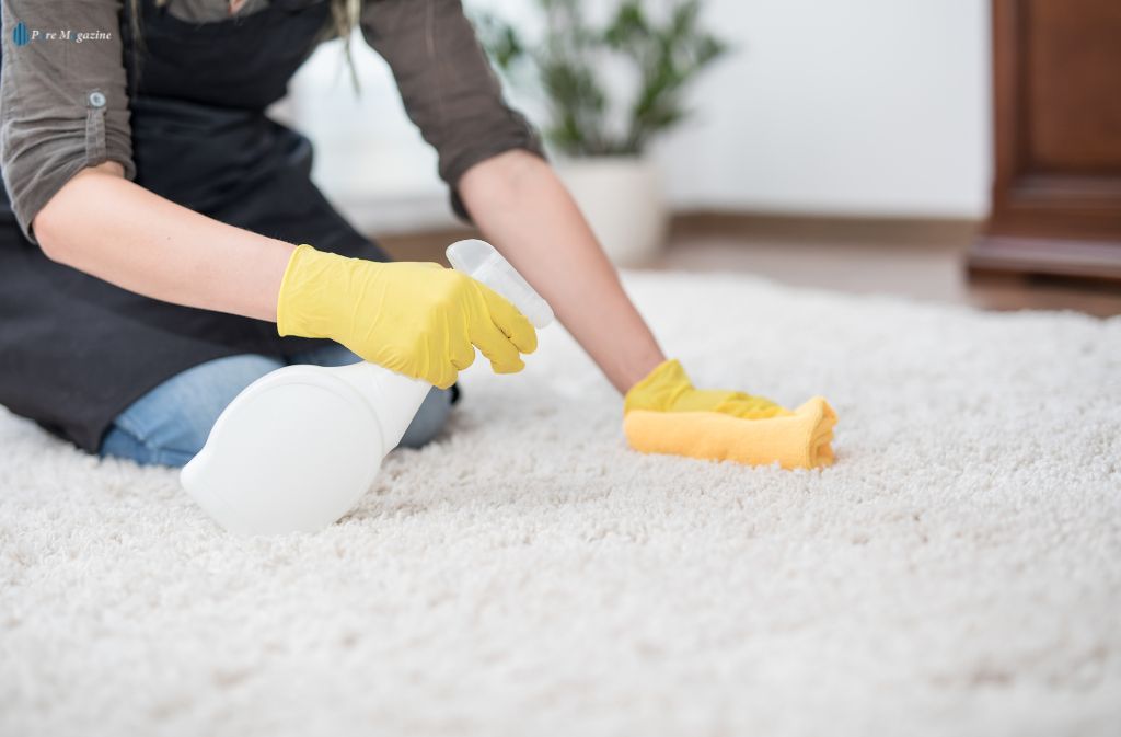 Natural Carpet Cleaners for High-Traffic Areas - Pure Magazine